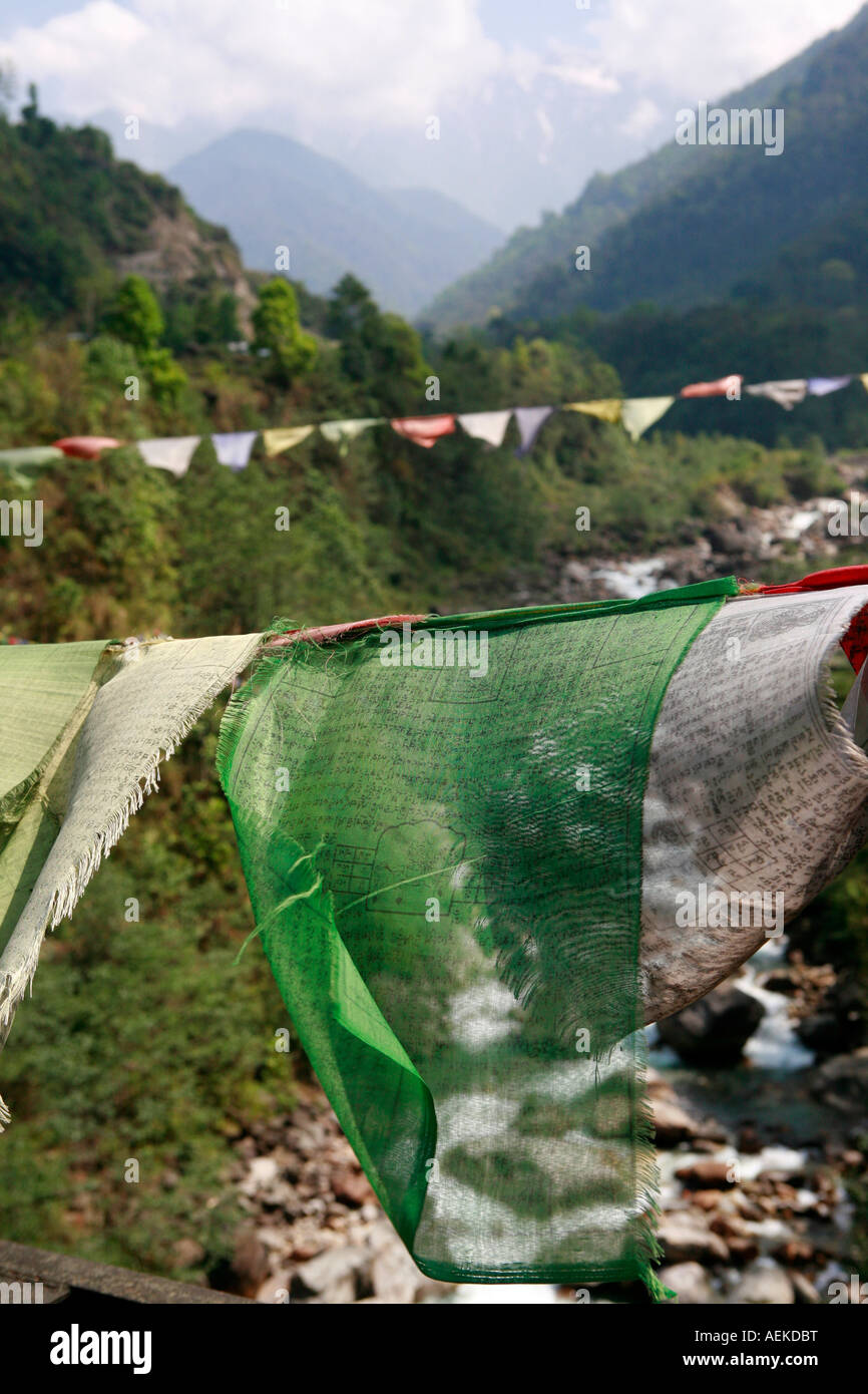 Buddhist prayer flags in the himalayan foothills of Sikkim, India Stock ...
