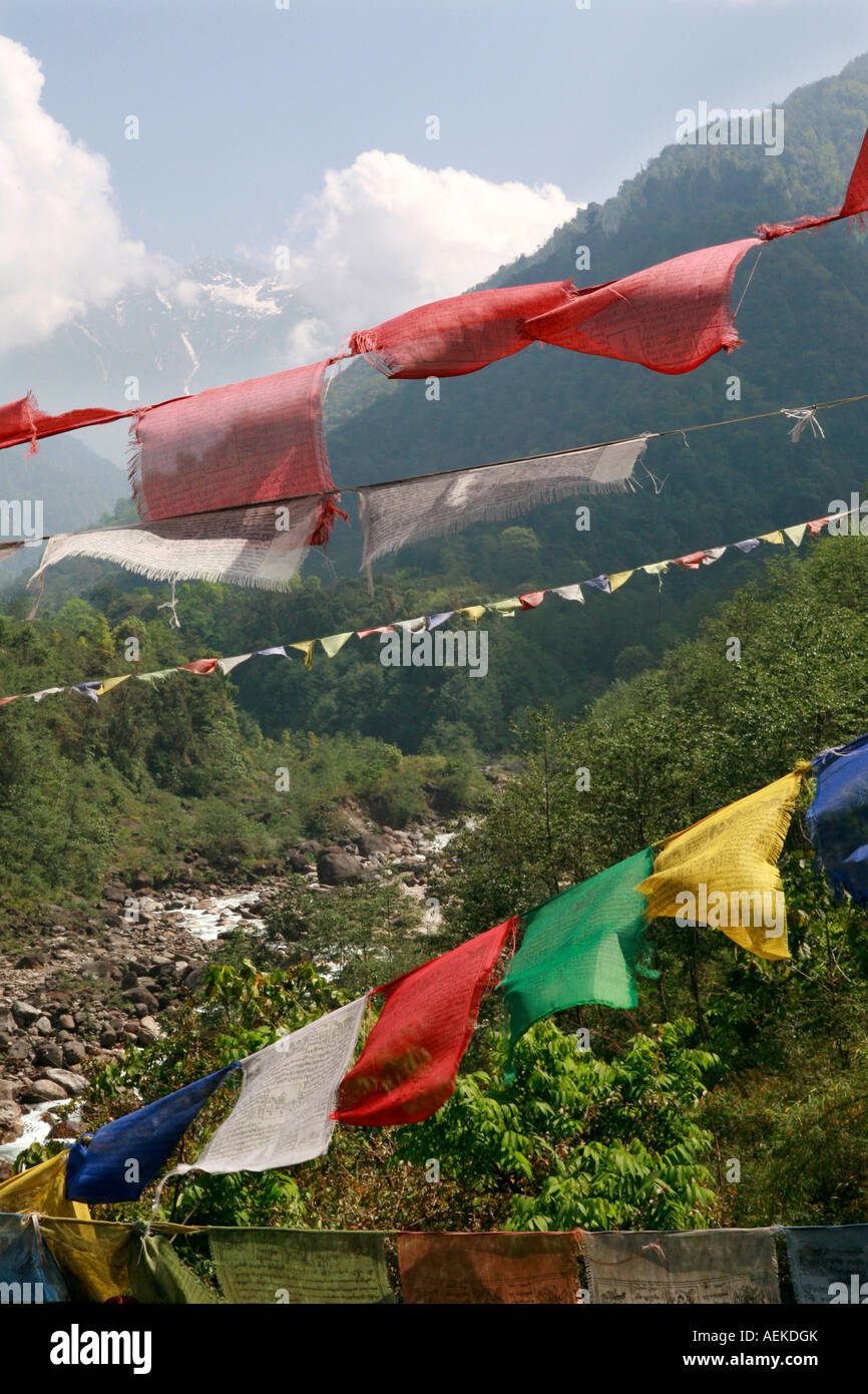 Buddhist prayer flags in the himalayan foothills of Sikkim, India Stock ...