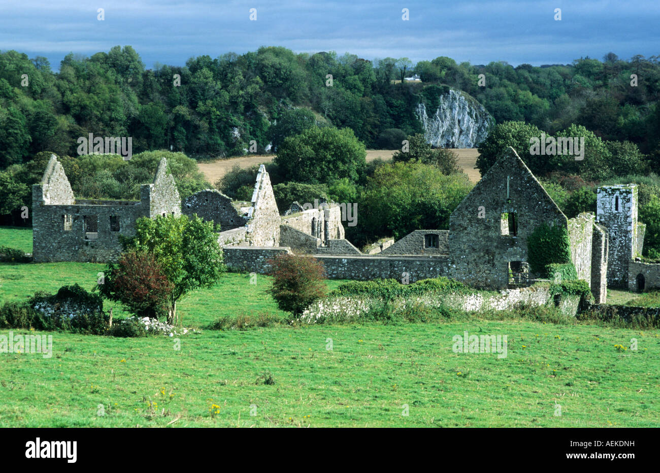 Castletownroche County Cork Bridgetown Abbey limestone gorge Stock ...