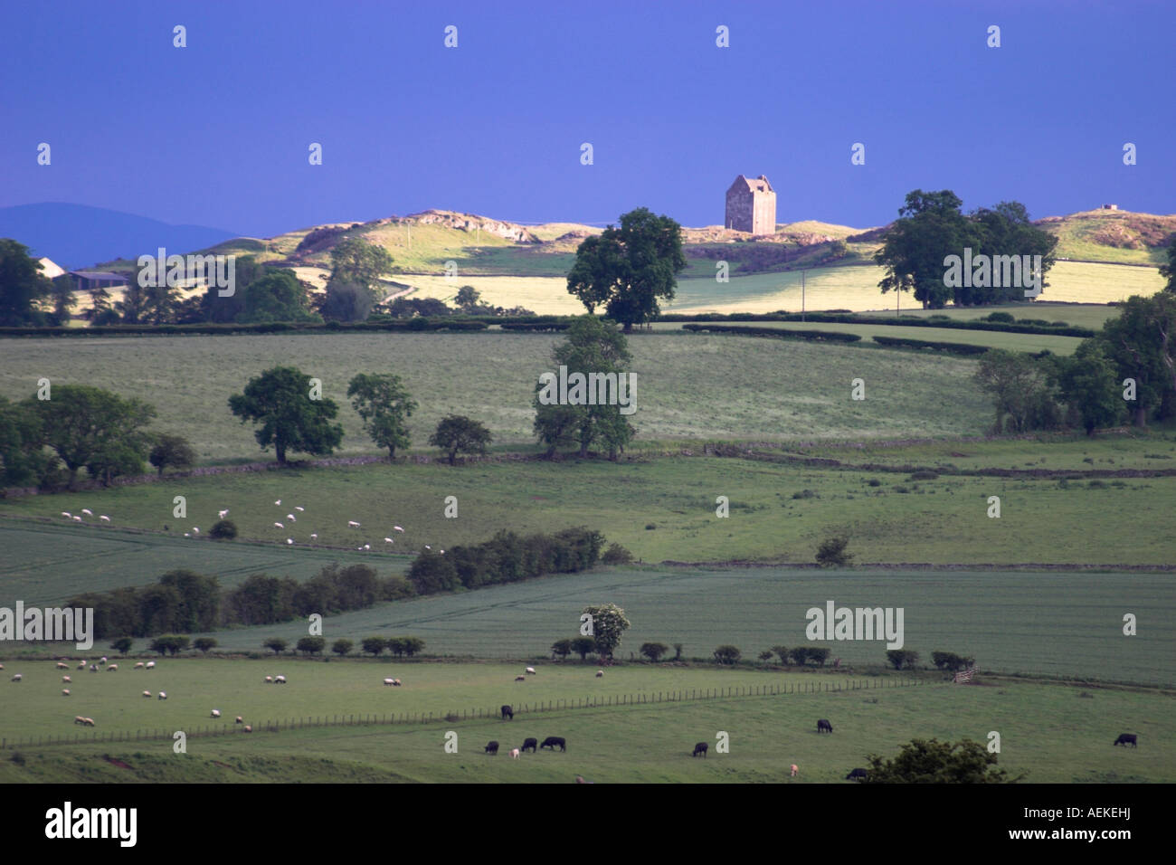 Smailholm Tower Scottish Borders Stock Photo - Alamy