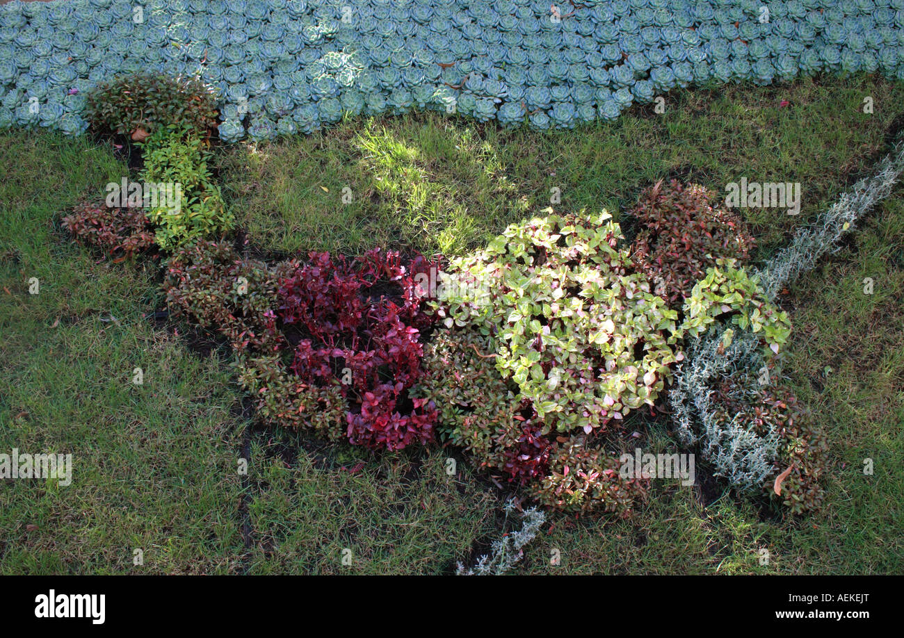 Rugby flower displays hi-res stock photography and images - Alamy