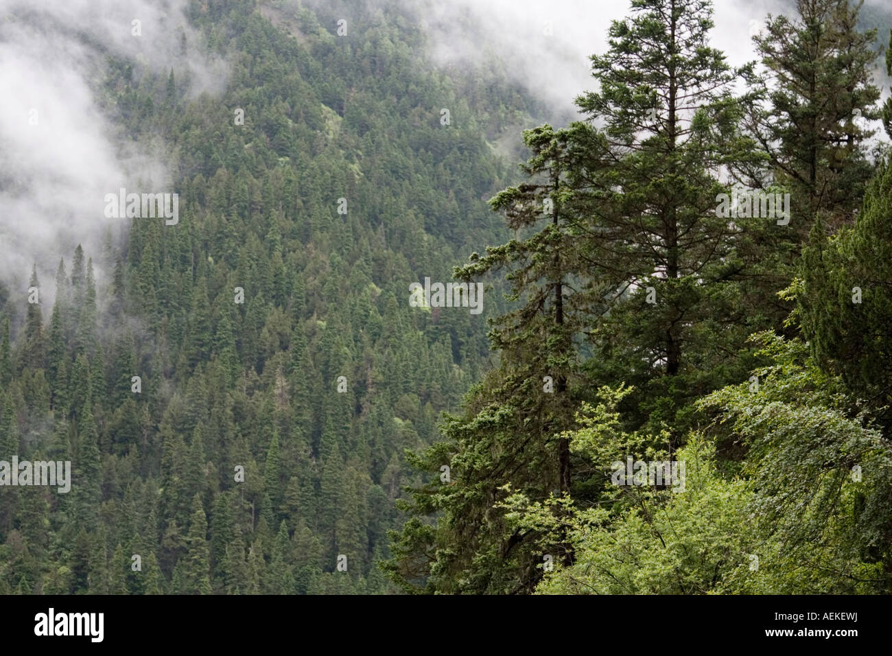 China rare earth hi-res stock photography and images - Alamy