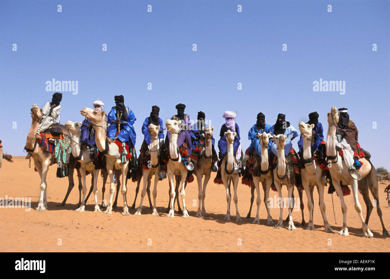 Mali Menaka, near Gao Men of Tuareg tribe sitting on camels Stock Photo ...
