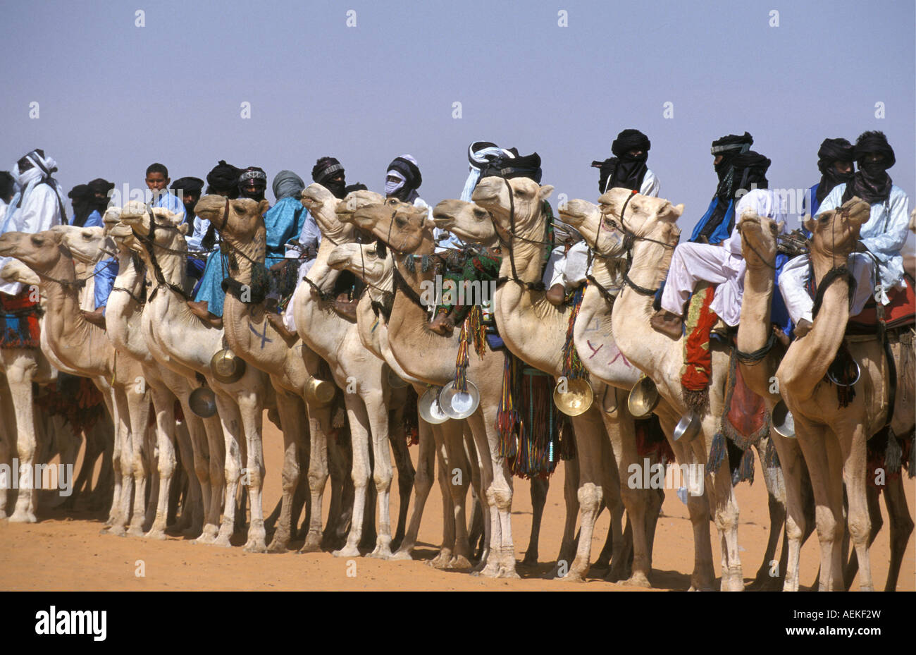 Mali Menaka near Gao, Men of Tuareg tribe sitting on camels Stock Photo ...