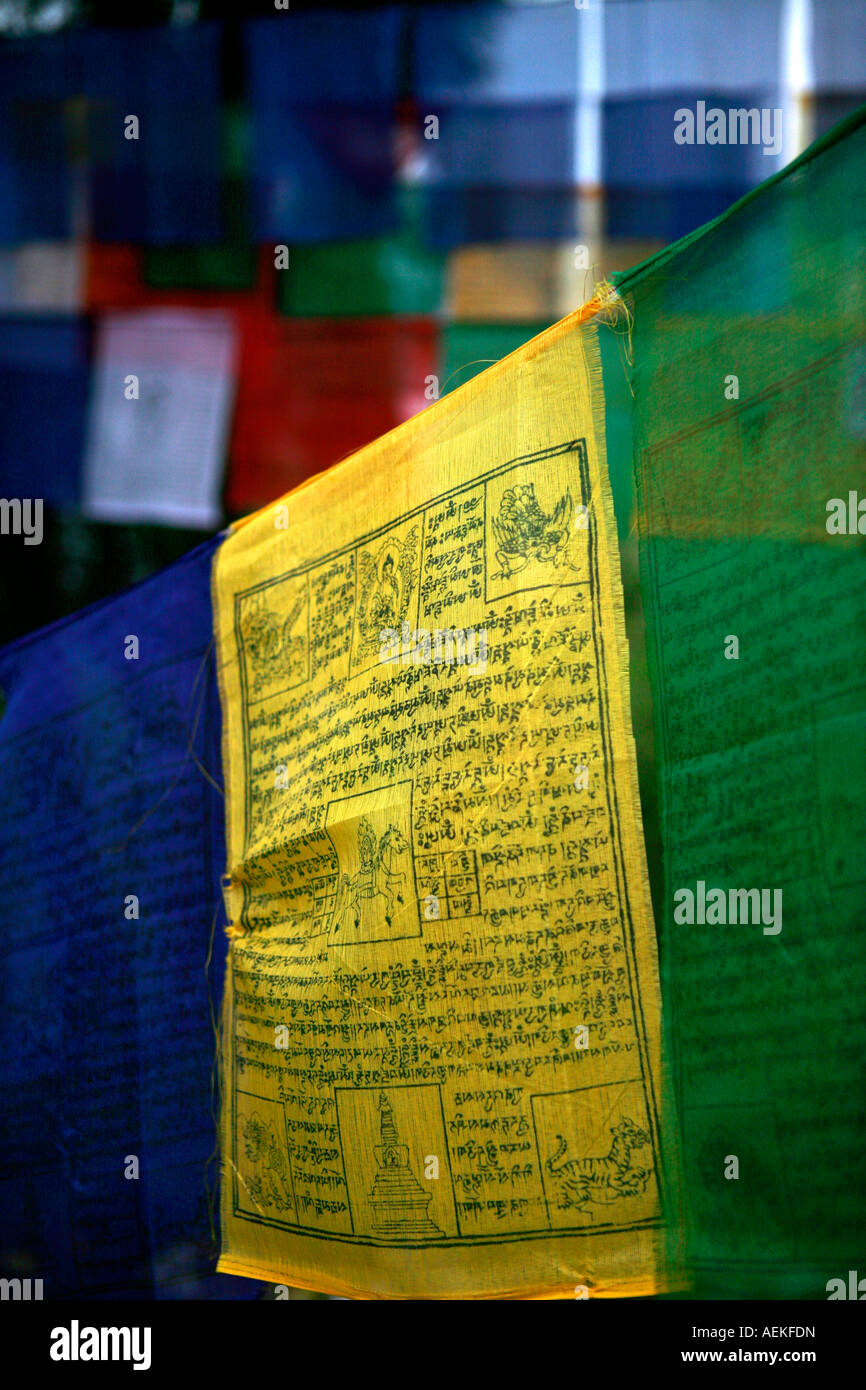 Buddhist prayer flags at the Enchey monastery, Gangtok, Sikkim, India ...
