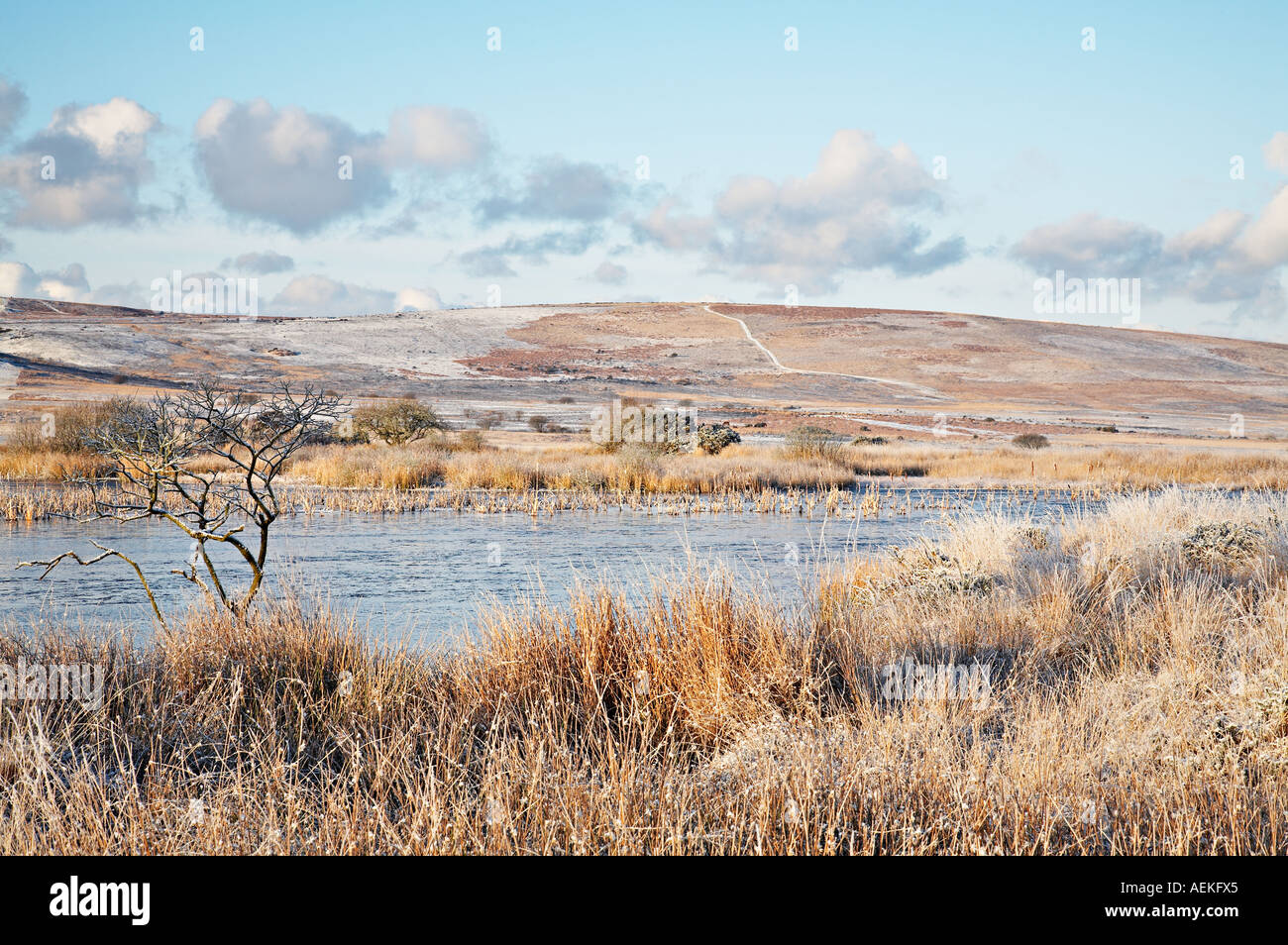 Broad Pool Cefn Bryn Gower Peninsula South Wales Stock Photo - Alamy