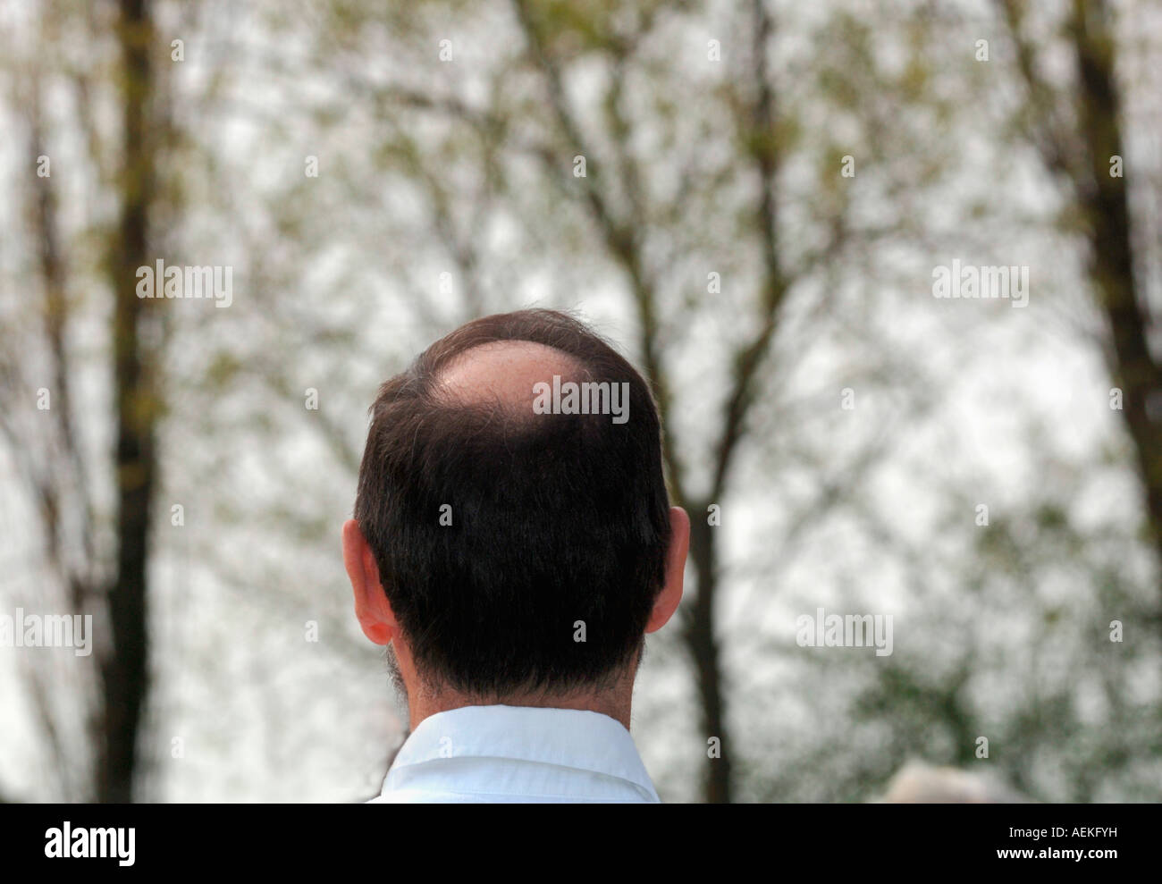 Back view man head bald hi-res stock photography and images - Alamy