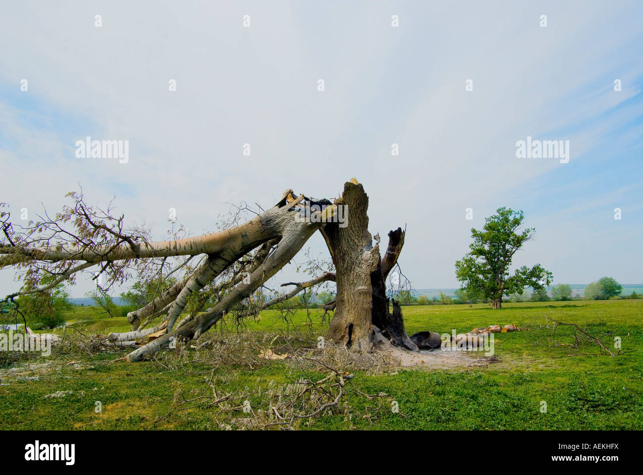 Age of death hi-res stock photography and images - Alamy