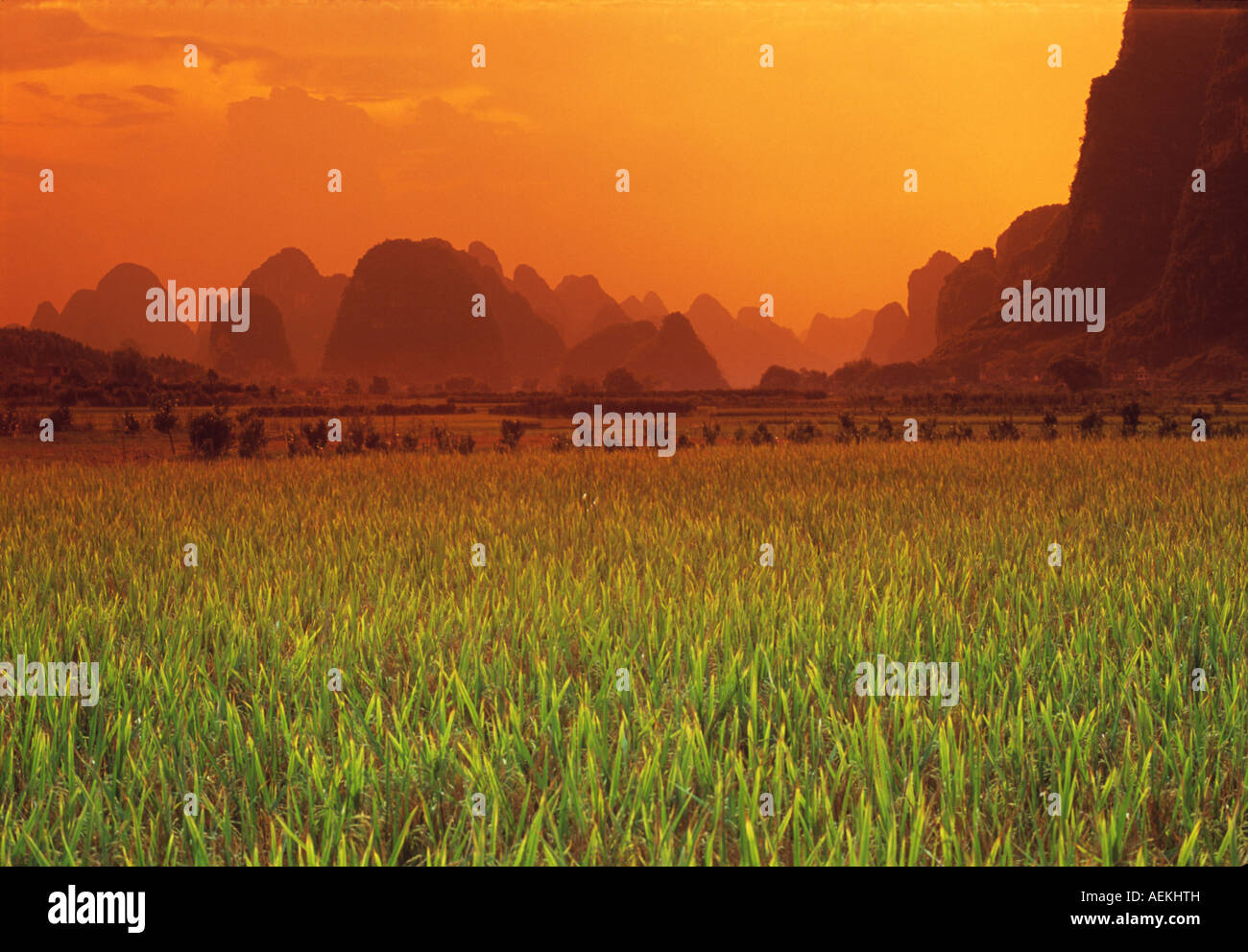 CHINA GUANGXI PROVINCE YANGSHUO LIMESTONE PEAKS AT SUNSET Stock Photo ...