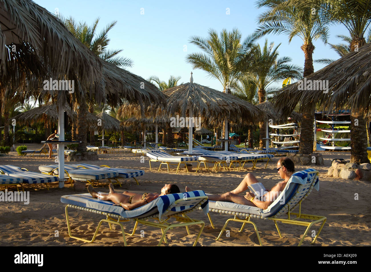 Tourists sunbath in the beach in Naama bay in Sharm el Sheikh a resort ...