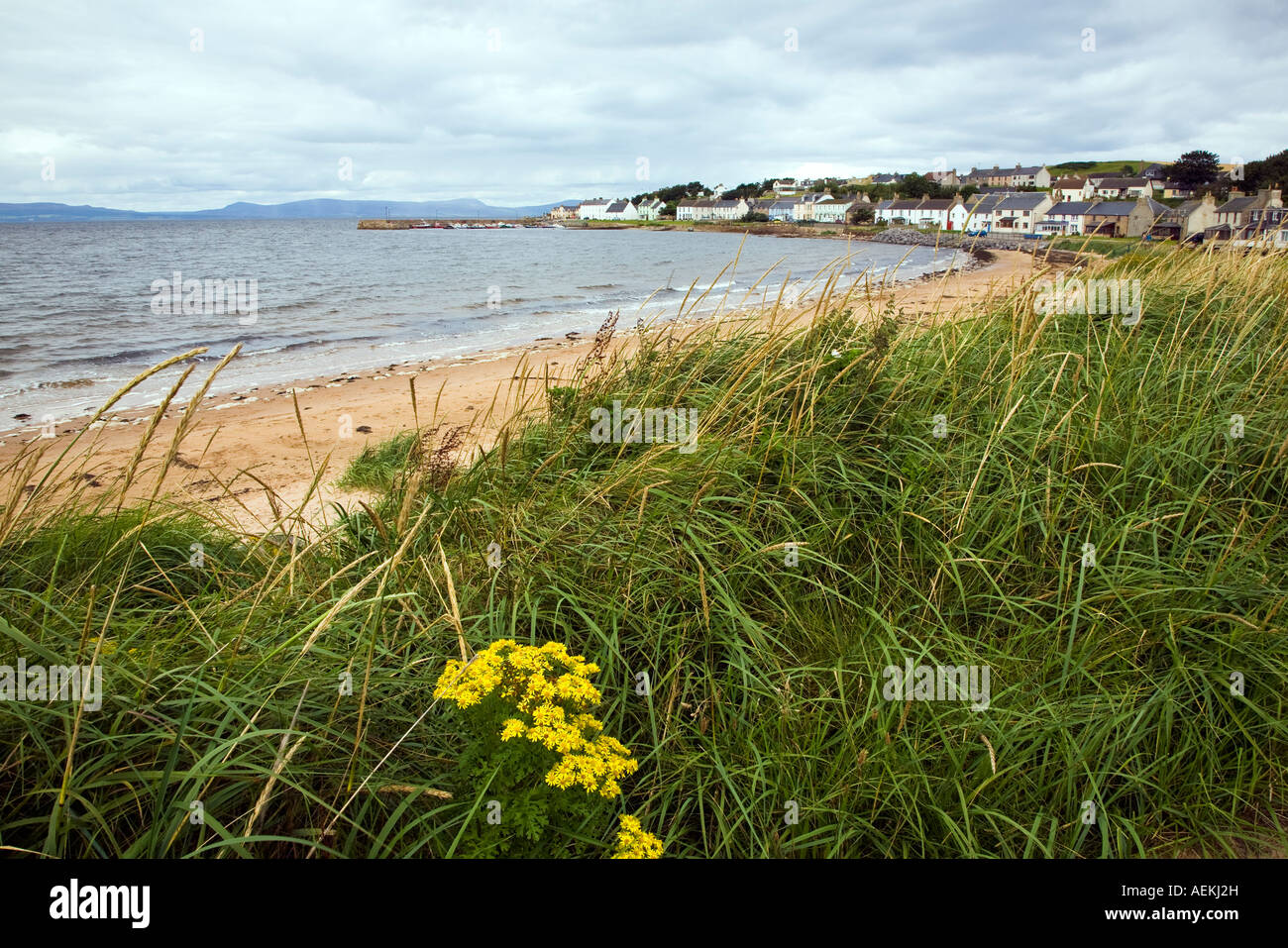Portmahomack Easter Ross and Cromarty Scotland UK Stock Photo - Alamy