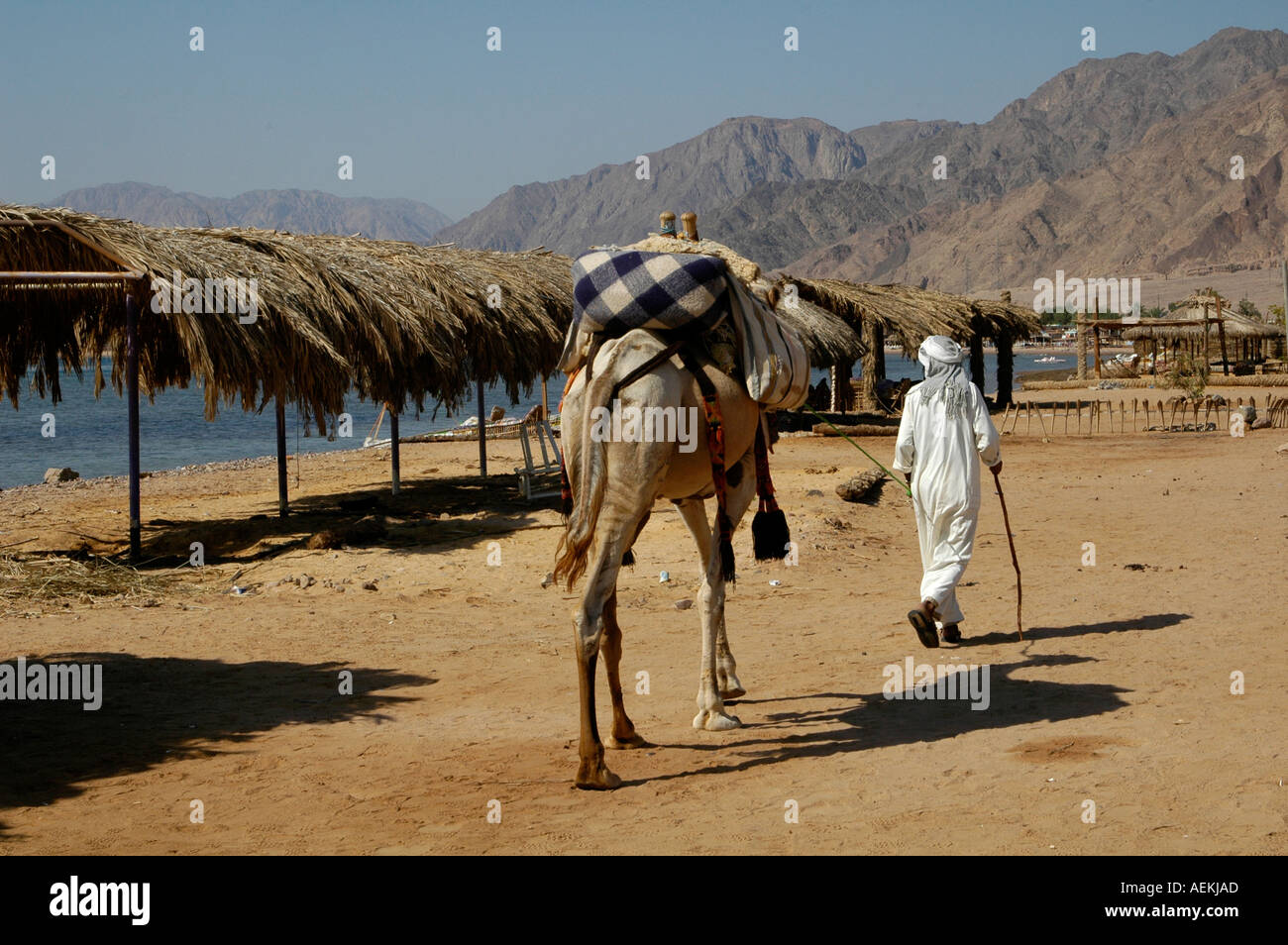 Nueiba hi-res stock photography and images - Alamy