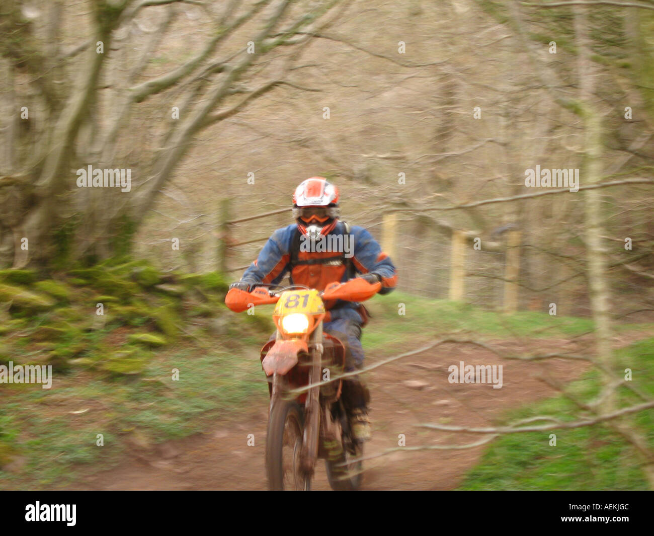 Motorbike Motorcross Rider on Forest Path Rhiangoll Valley Black ...