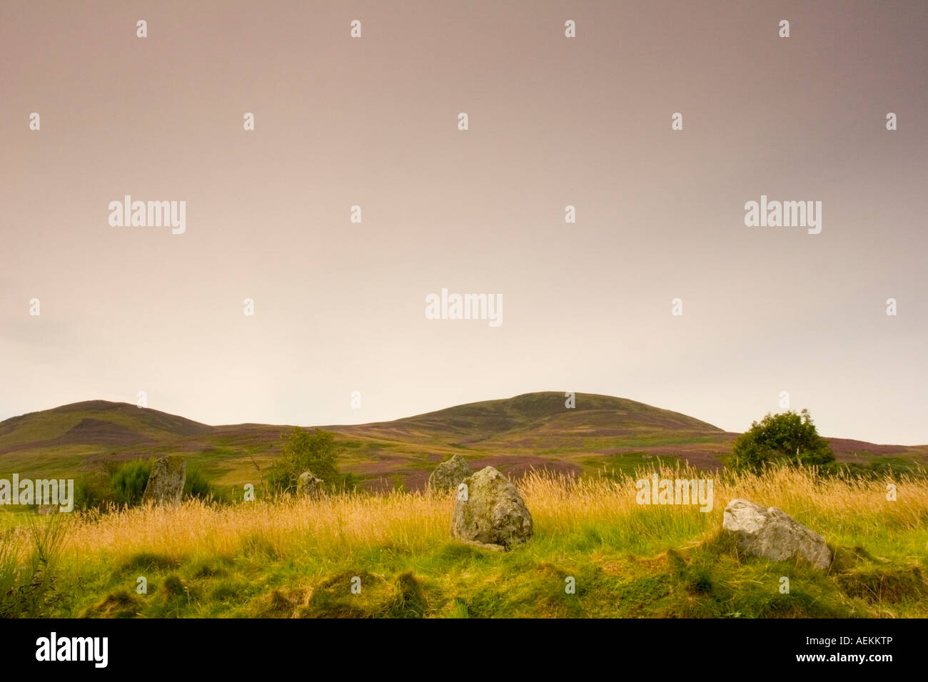 Pictish standing stones hi-res stock photography and images - Alamy