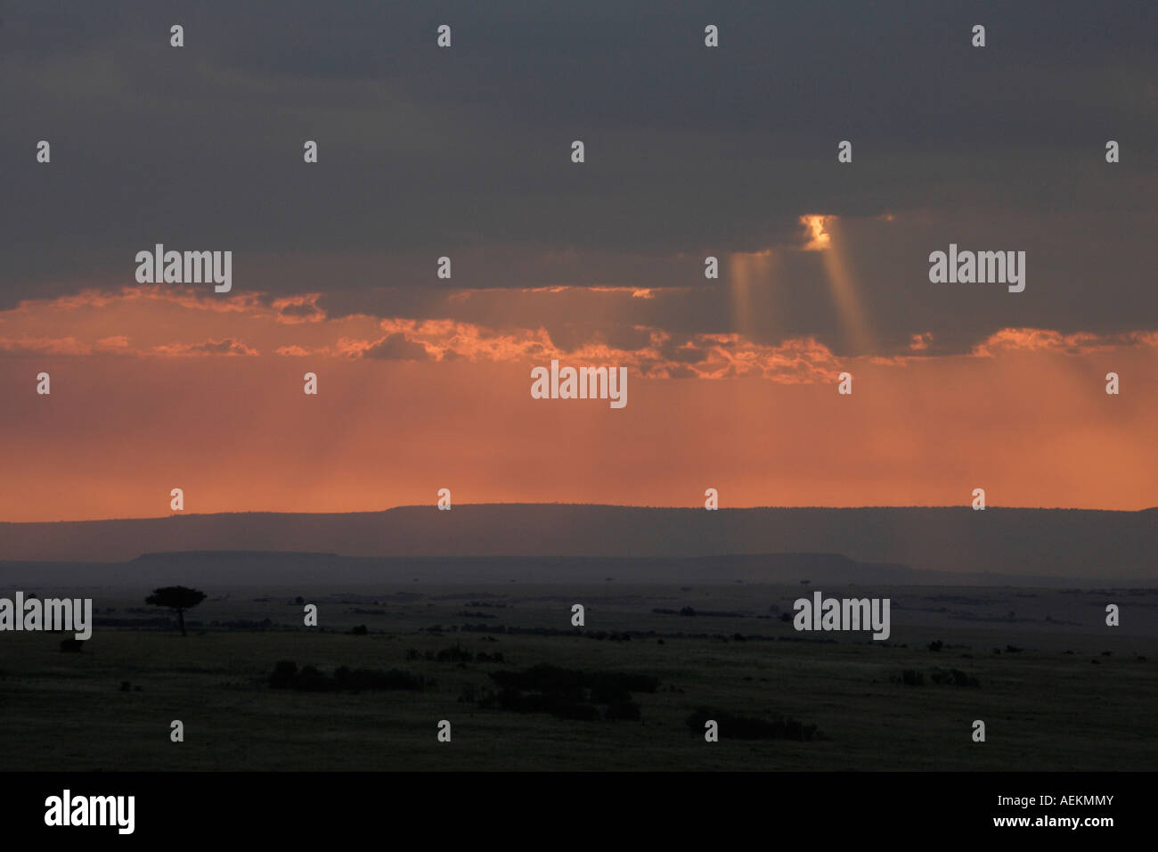 African sunset hi-res stock photography and images - Alamy