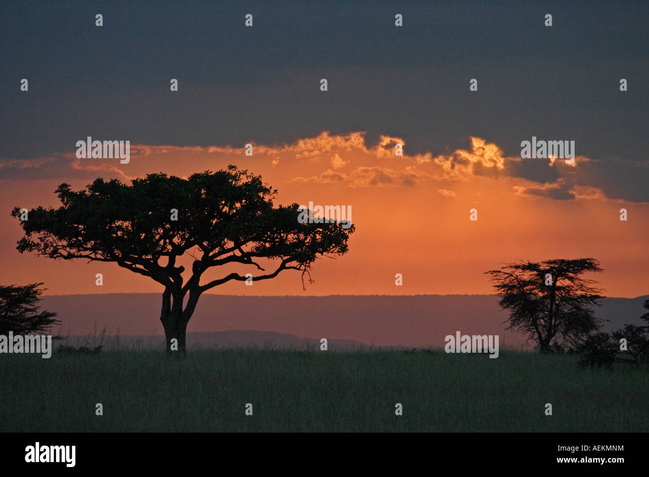 African sunset hi-res stock photography and images - Alamy
