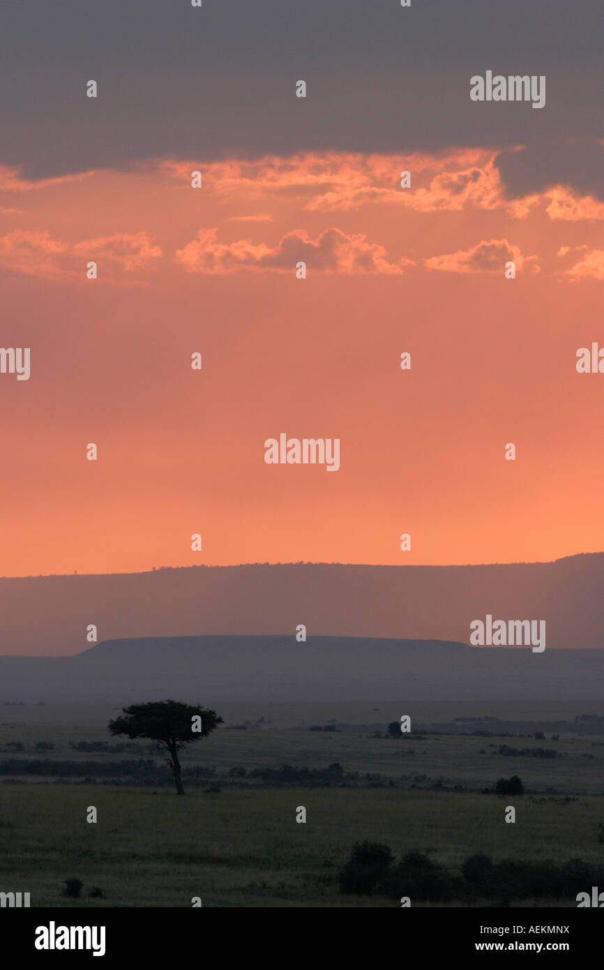 African sunset hi-res stock photography and images - Alamy