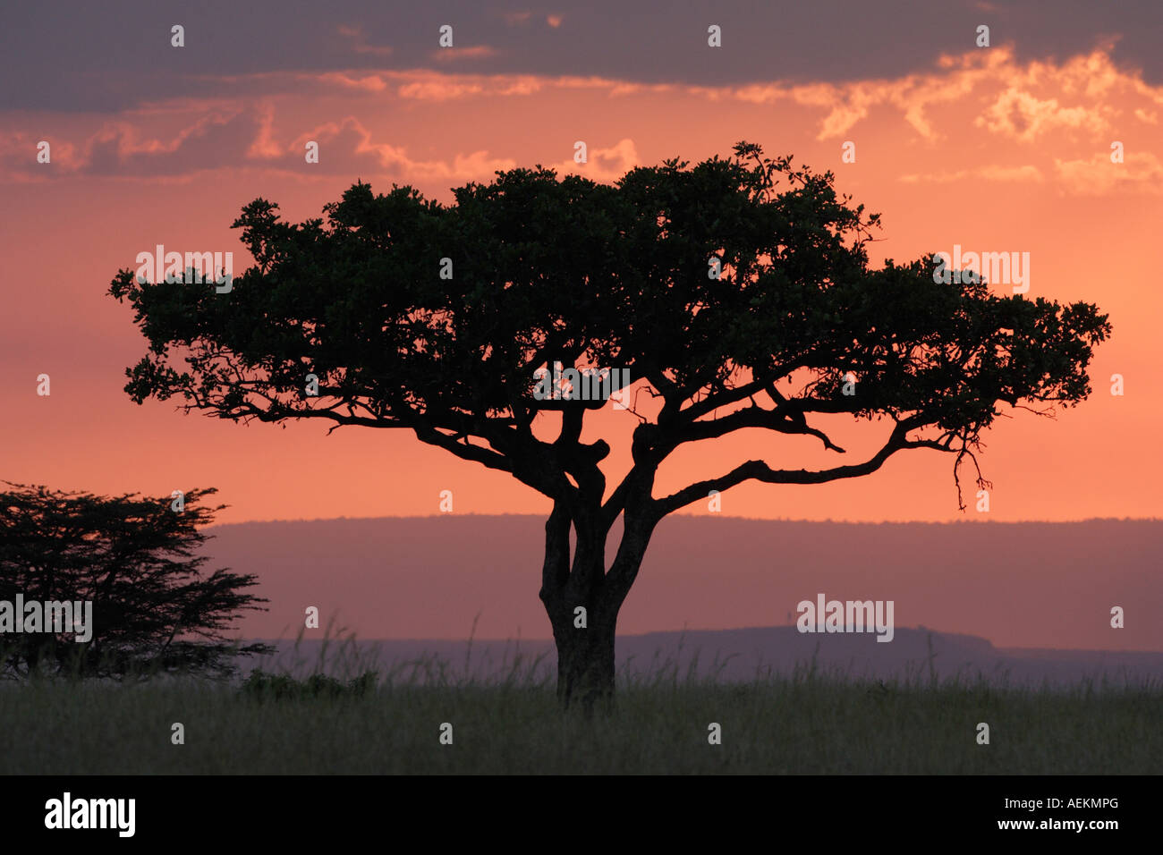 African sunset hi-res stock photography and images - Alamy