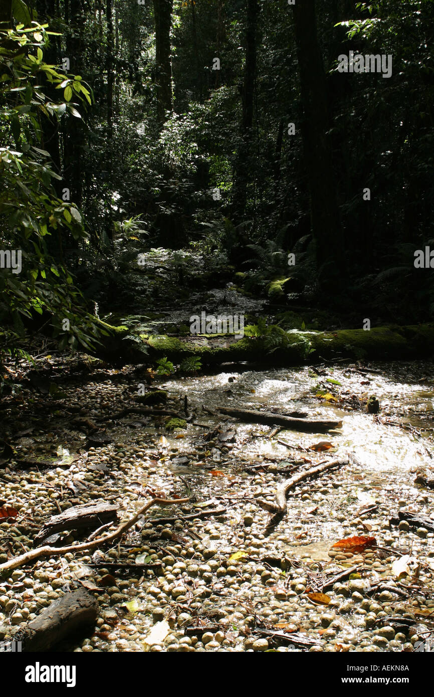 East timor landscapes hi-res stock photography and images - Alamy