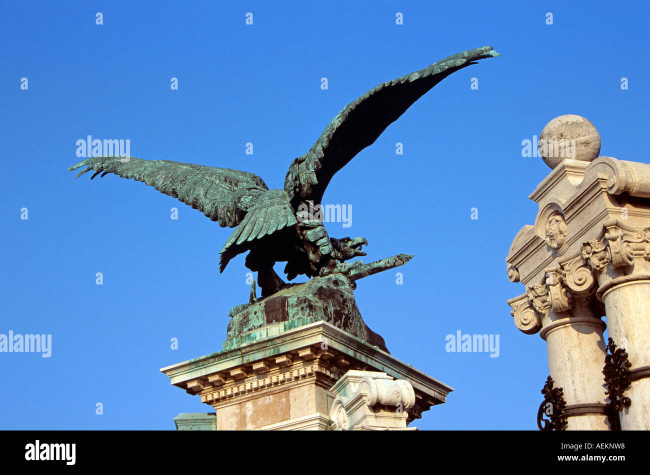 Turul Eagle High Resolution Stock Photography and Images - Alamy