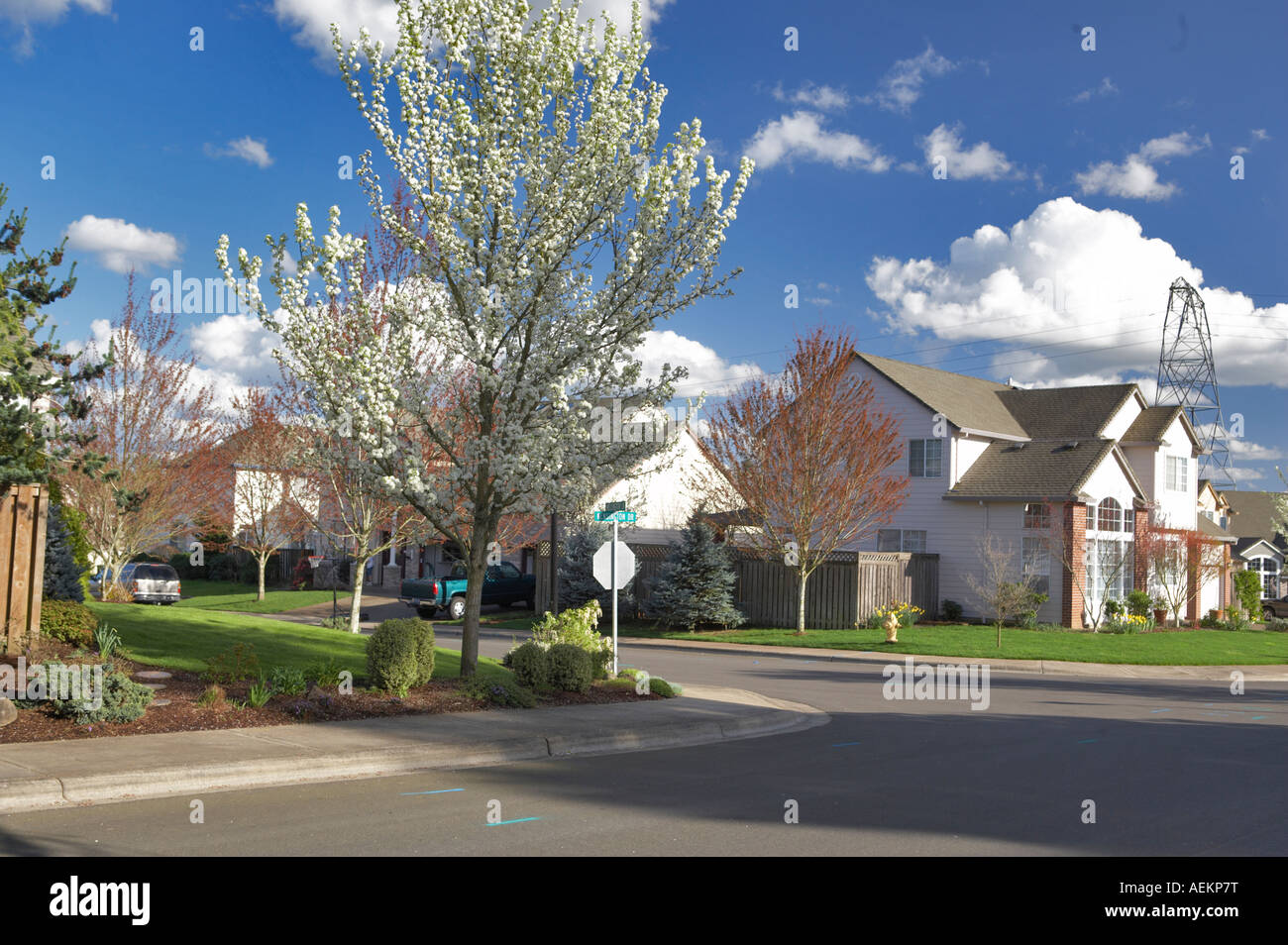 Street in Wilsonville Oregon Stock Photo - Alamy