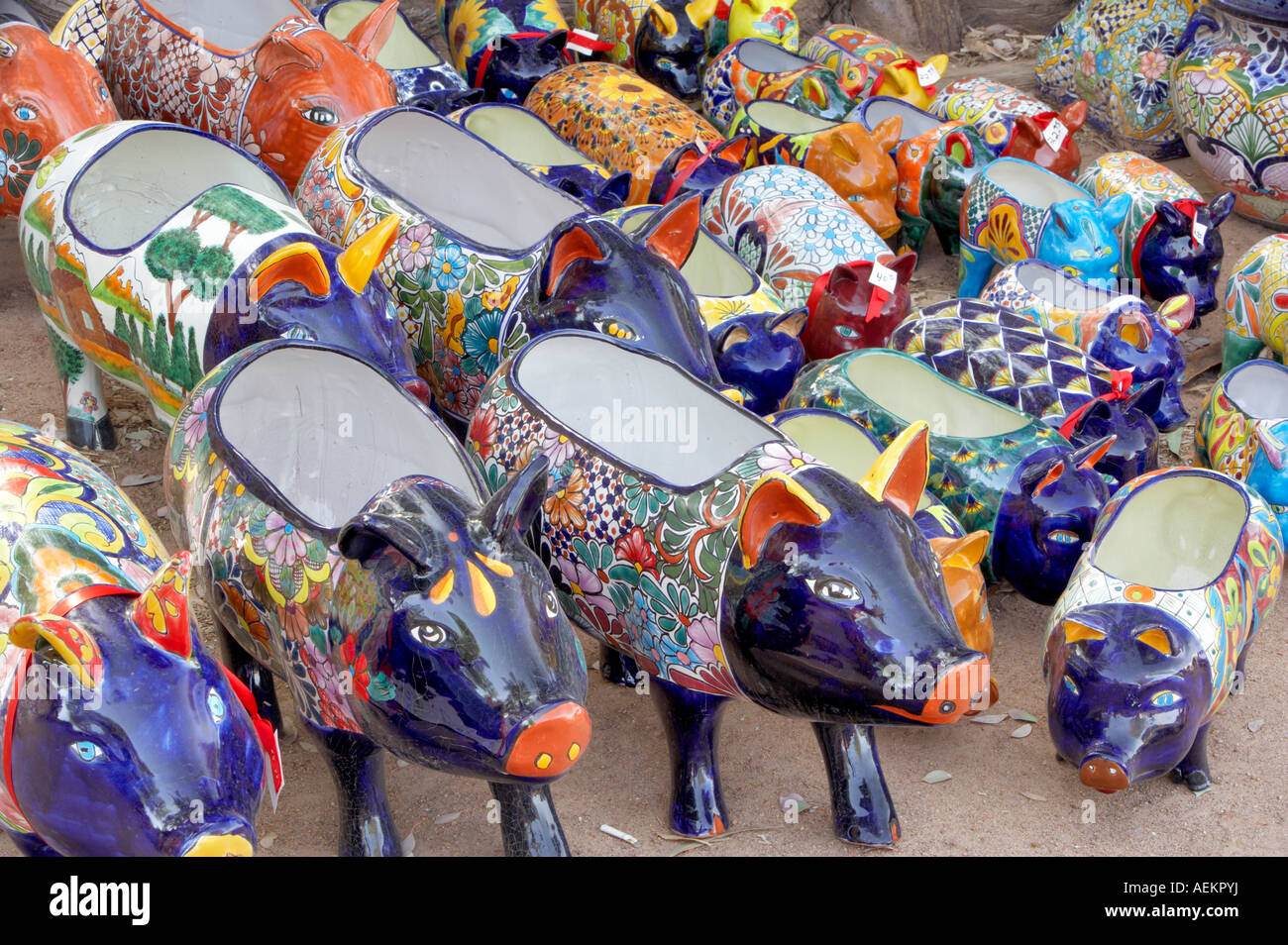 Pig planter hi-res stock photography and images - Alamy