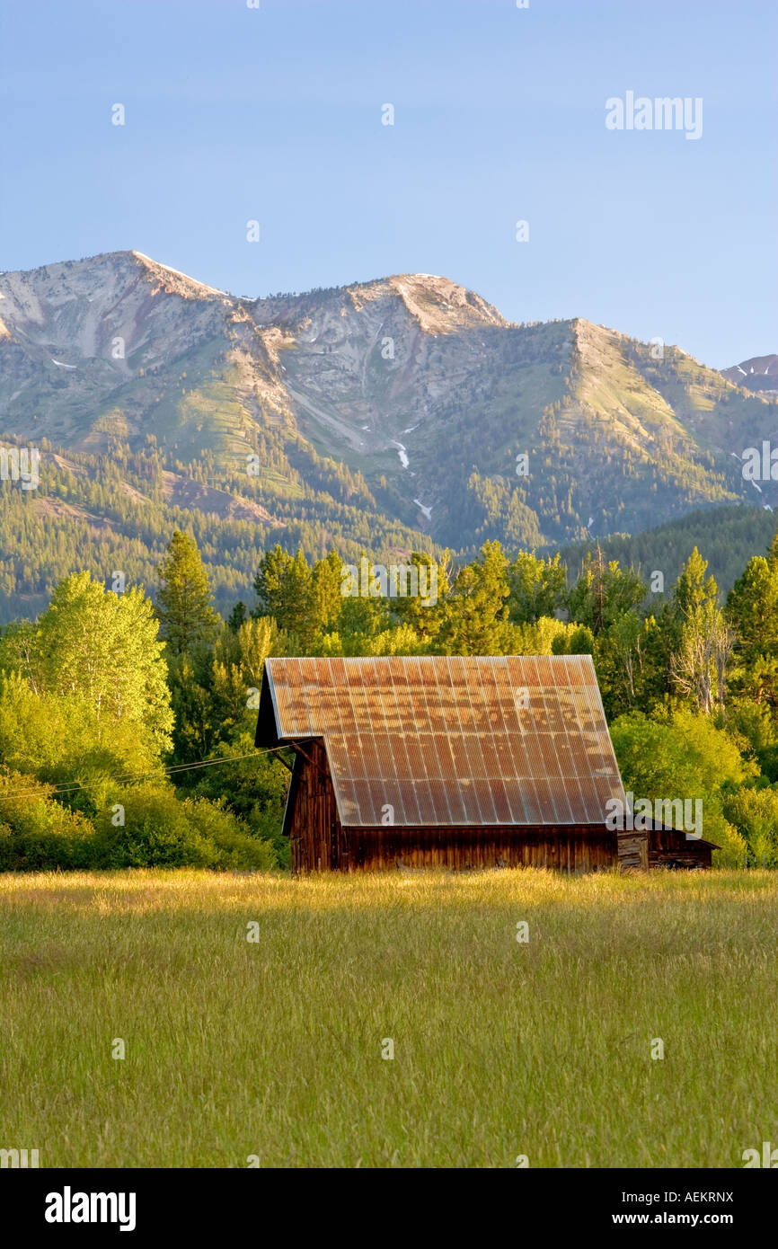Barn on farm with wallow mountains Near Halfway Oregon Stock Photo - Alamy