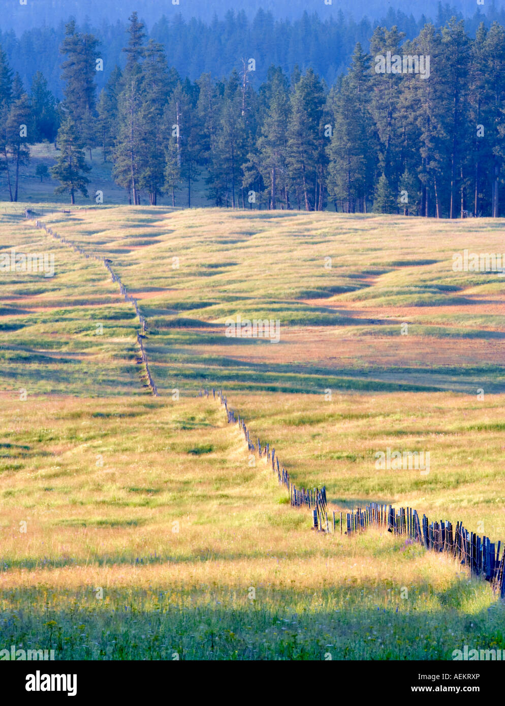 Long fence line in pasture Zumwalt Prairie Oregon Stock Photo - Alamy