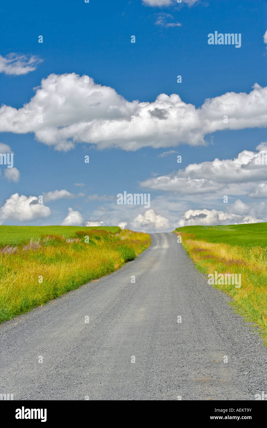 Dirt road through farmland The Palouse Washington Stock Photo - Alamy