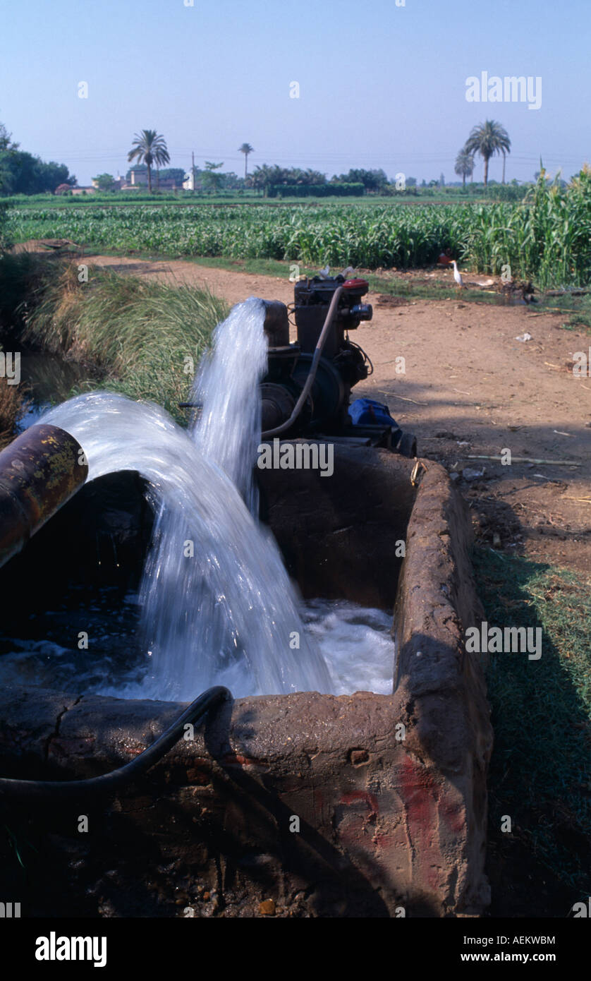 EGYPT North Africa Middle East Nile Delta Irrigation Diesel powered ...