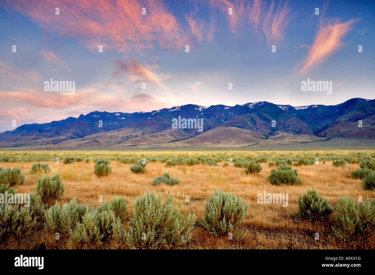 Sage Mountain High Resolution Stock Photography and Images - Alamy