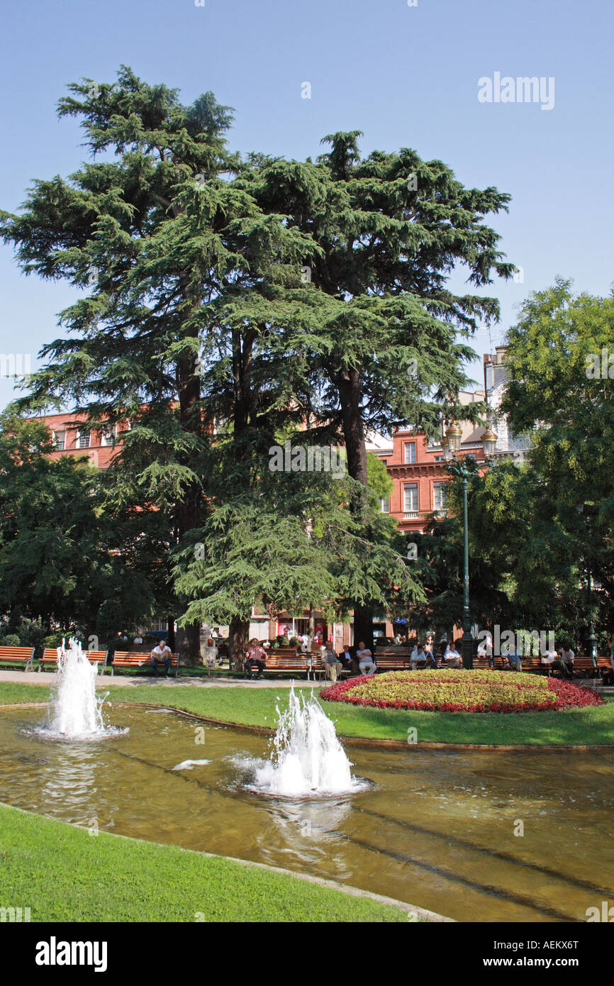Rugby flower displays hi-res stock photography and images - Alamy