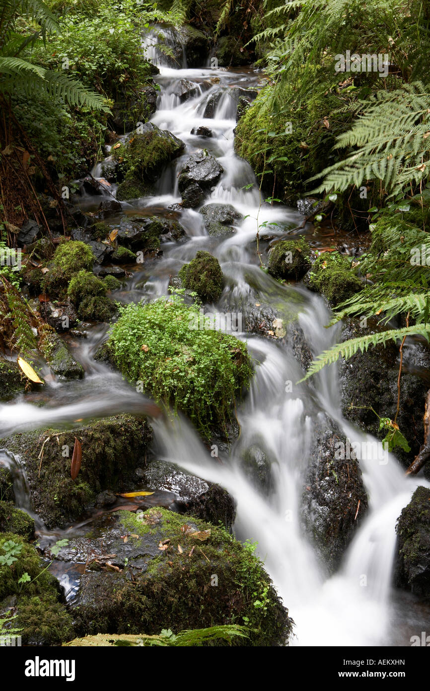 Waterfall falls canonteign hi-res stock photography and images - Alamy
