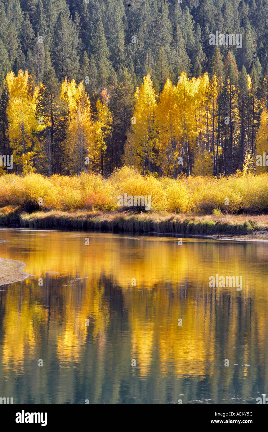 Descutes river hi-res stock photography and images - Alamy