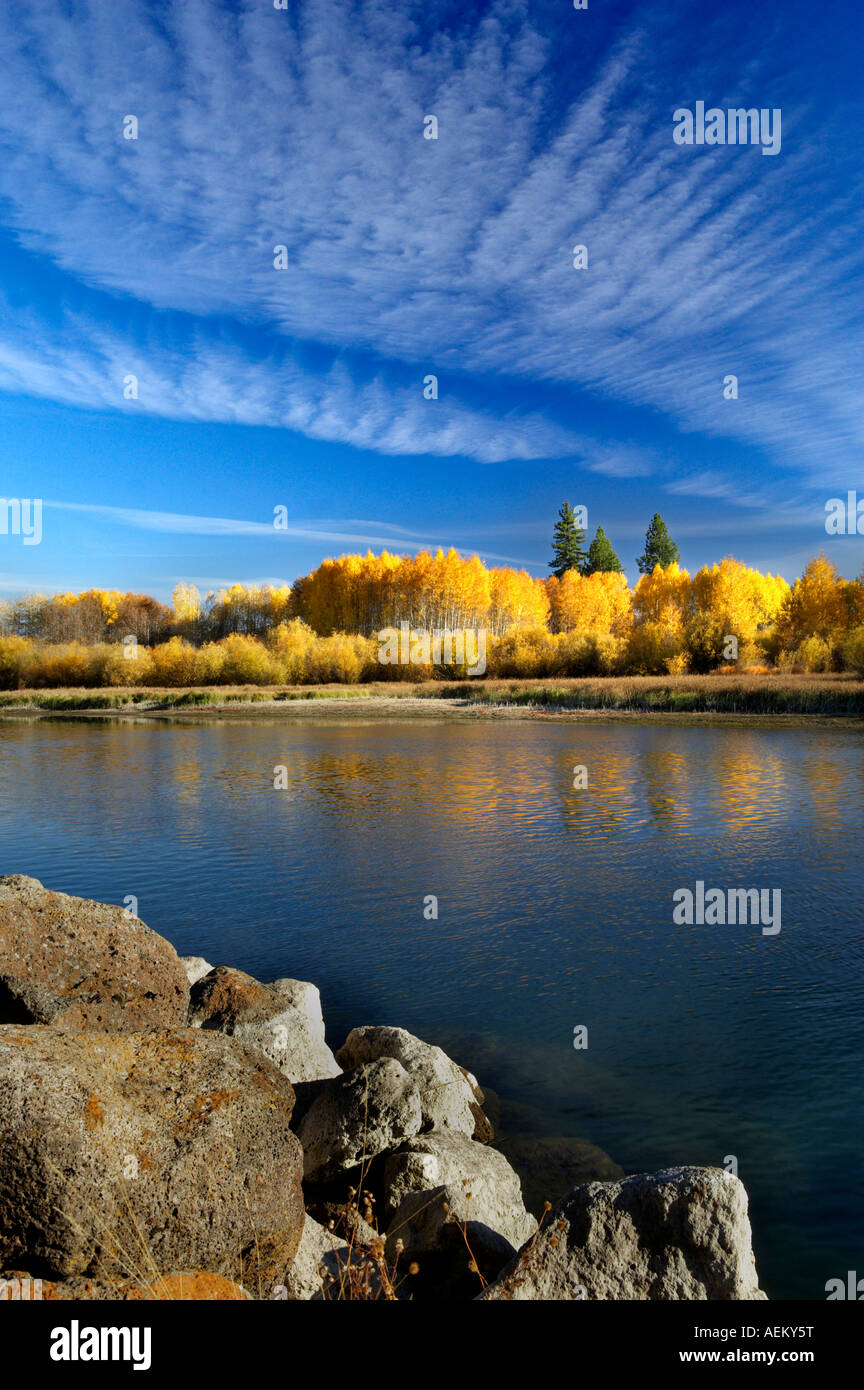 Fall colored aspenn trees and Deschutes River Central Oregon Stock ...