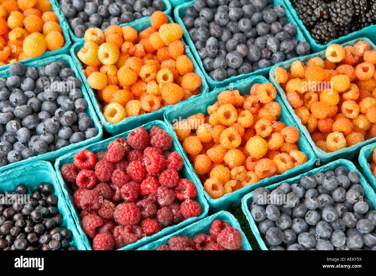 Raspberries and blueberries at Lake Oswego Farmers Market Oregon Stock ...