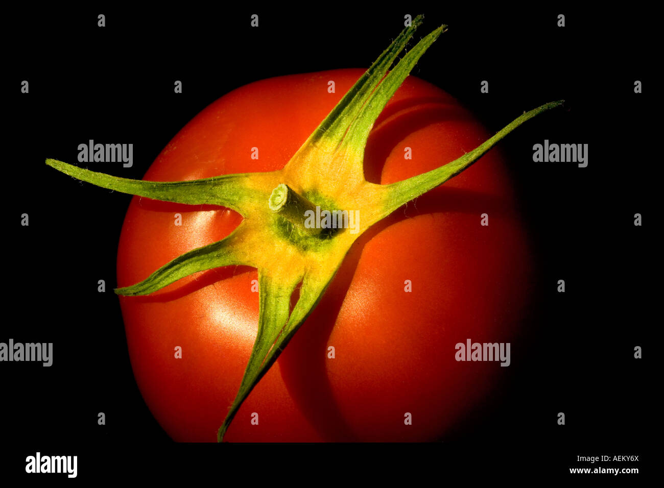 Tomato with yellow sepals Stock Photo - Alamy
