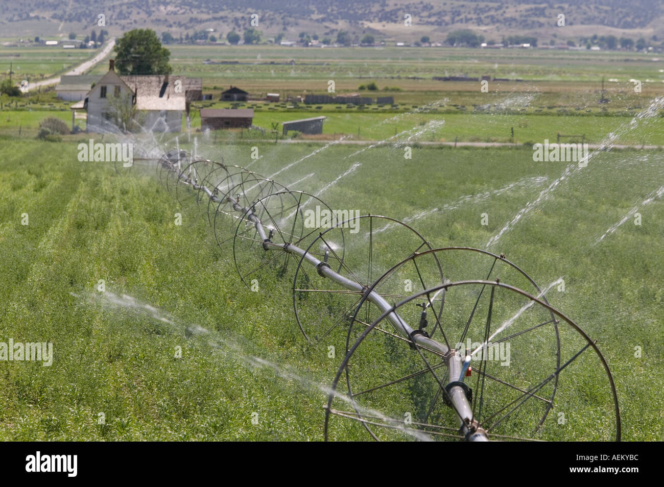Barn sprinkling hi-res stock photography and images - Alamy