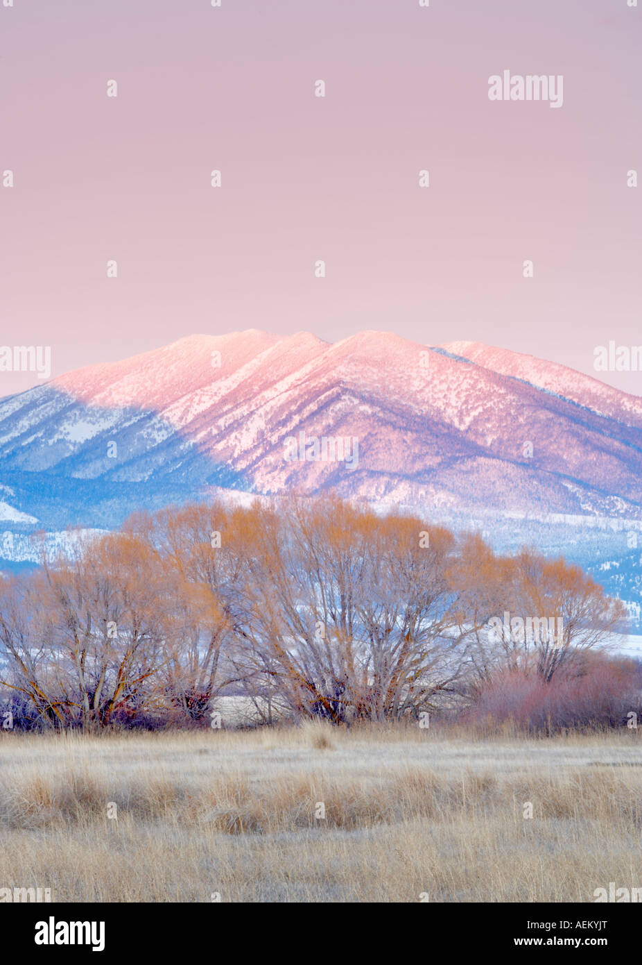 Willow trees and Elkhorn Range Blue Mountains Oregon Stock Photo - Alamy