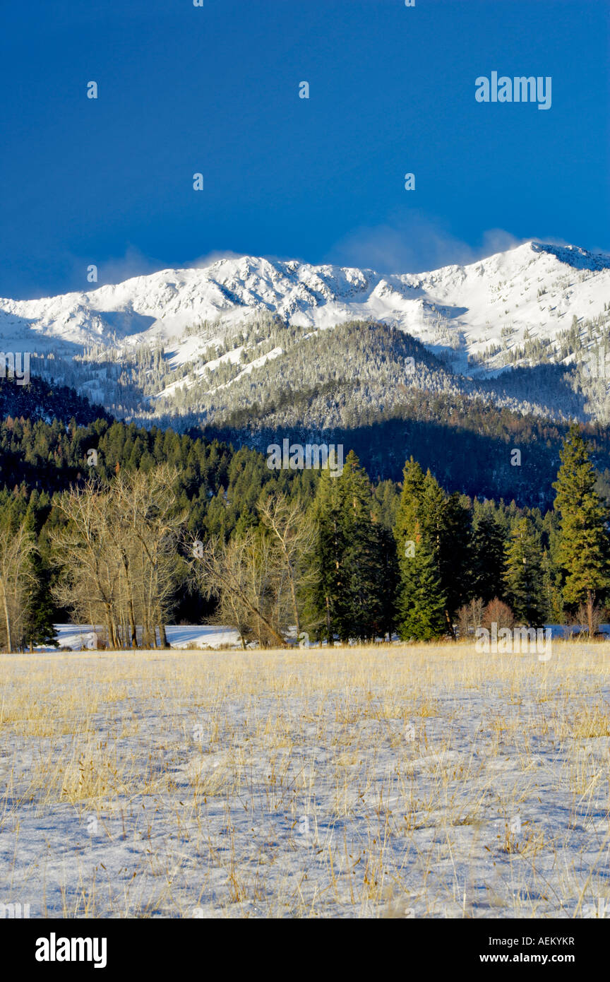 Elkhorn ranch hi-res stock photography and images - Alamy