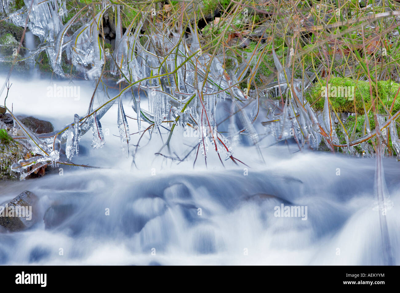 Ice on edge of Wahkeena Creek Columbia River Gorge National Scenic Area ...