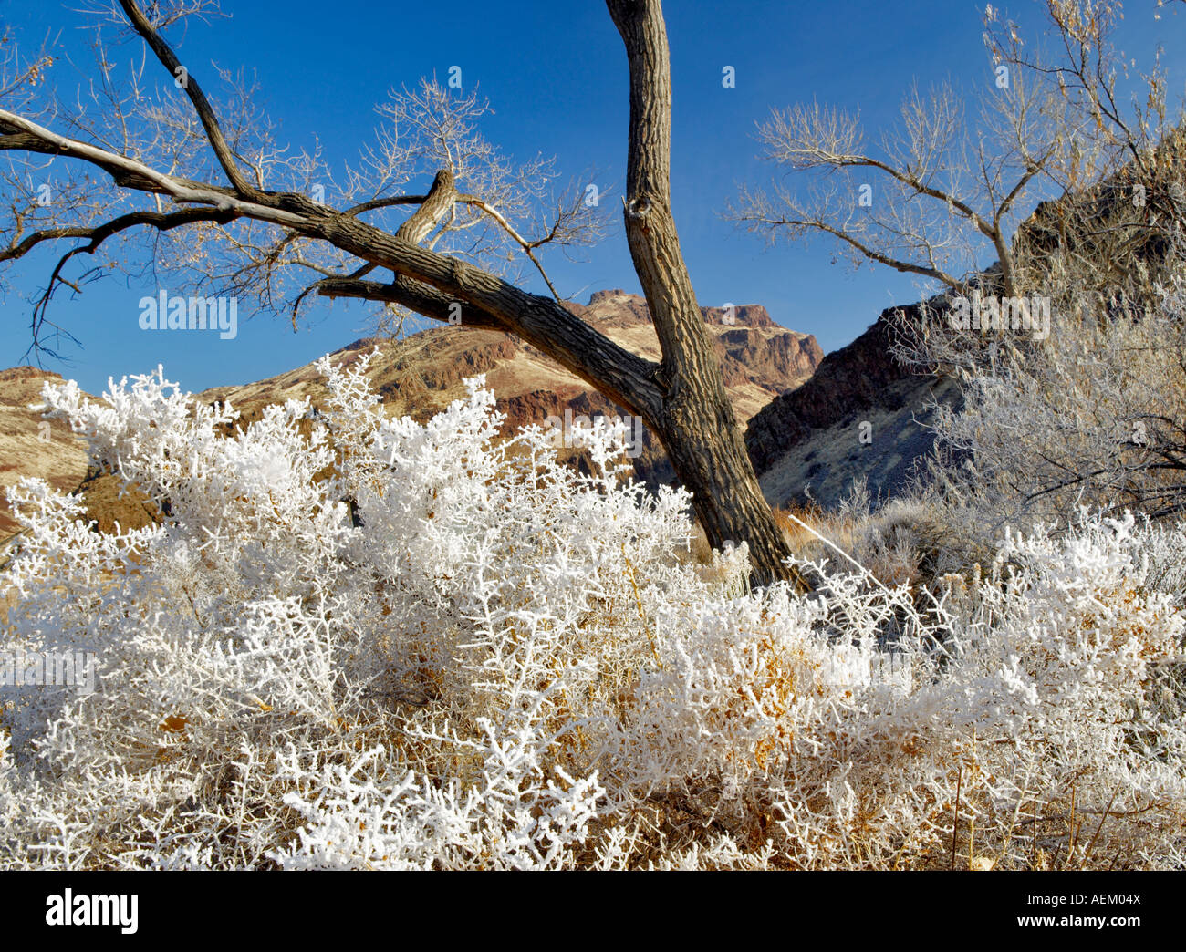 Cottonwood springs oregon hi-res stock photography and images - Alamy