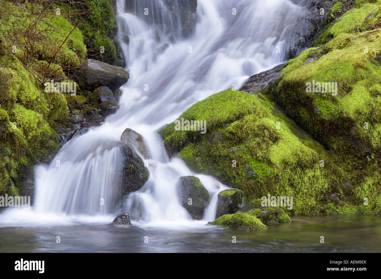 Small waterfalls on Quartzville Creek National Wild and Scenic River ...