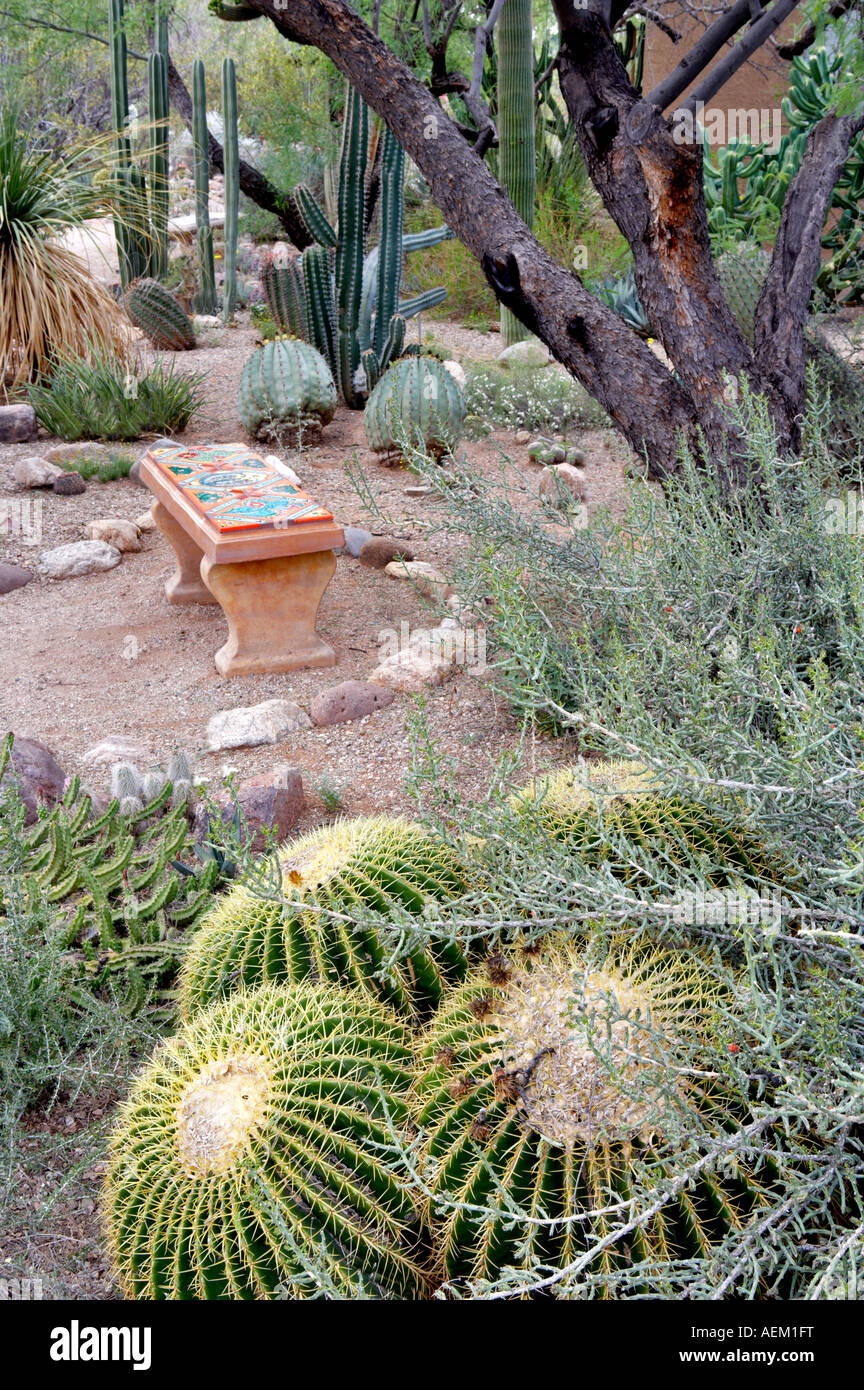Cactus garden with bench in Tucson Botanical Gardens Tucson Arizona ...