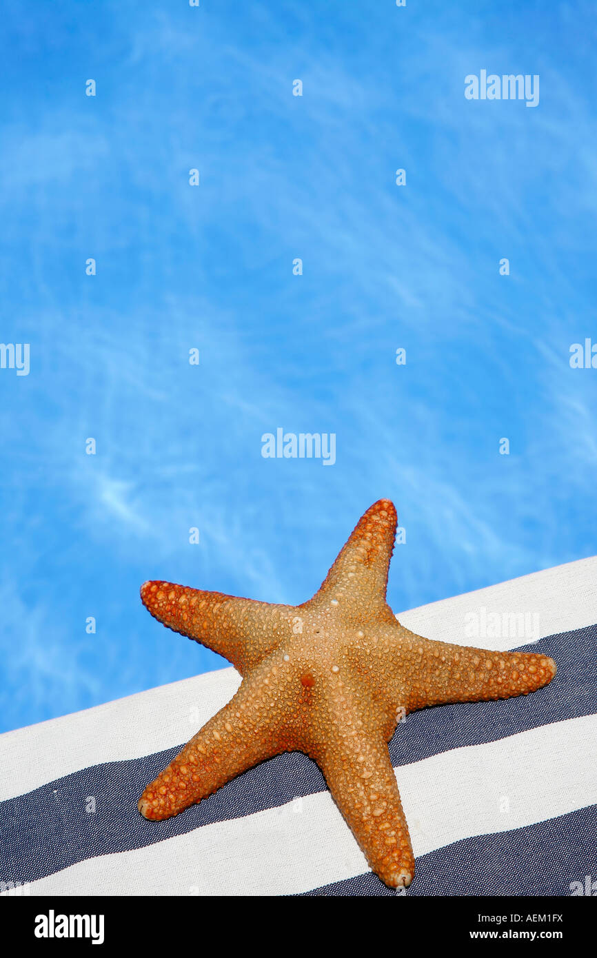 Bright Starfish on the side of blue swimming pool Stock Photo - Alamy
