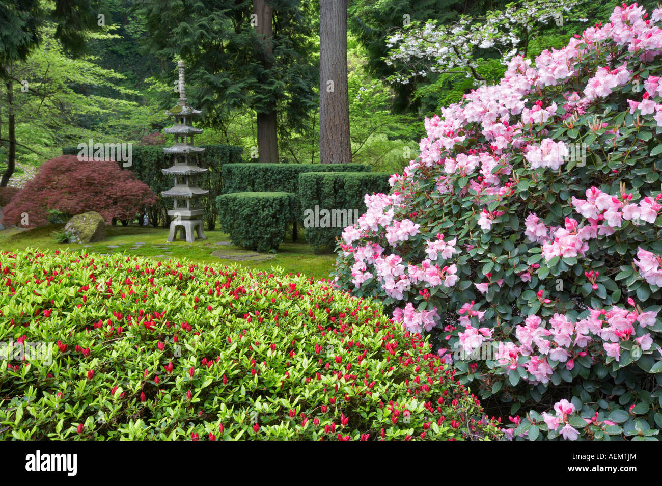 Japanese Garden with blooming rhododendrons and Pegoda Portland Oregon Stock Photo - Alamy
