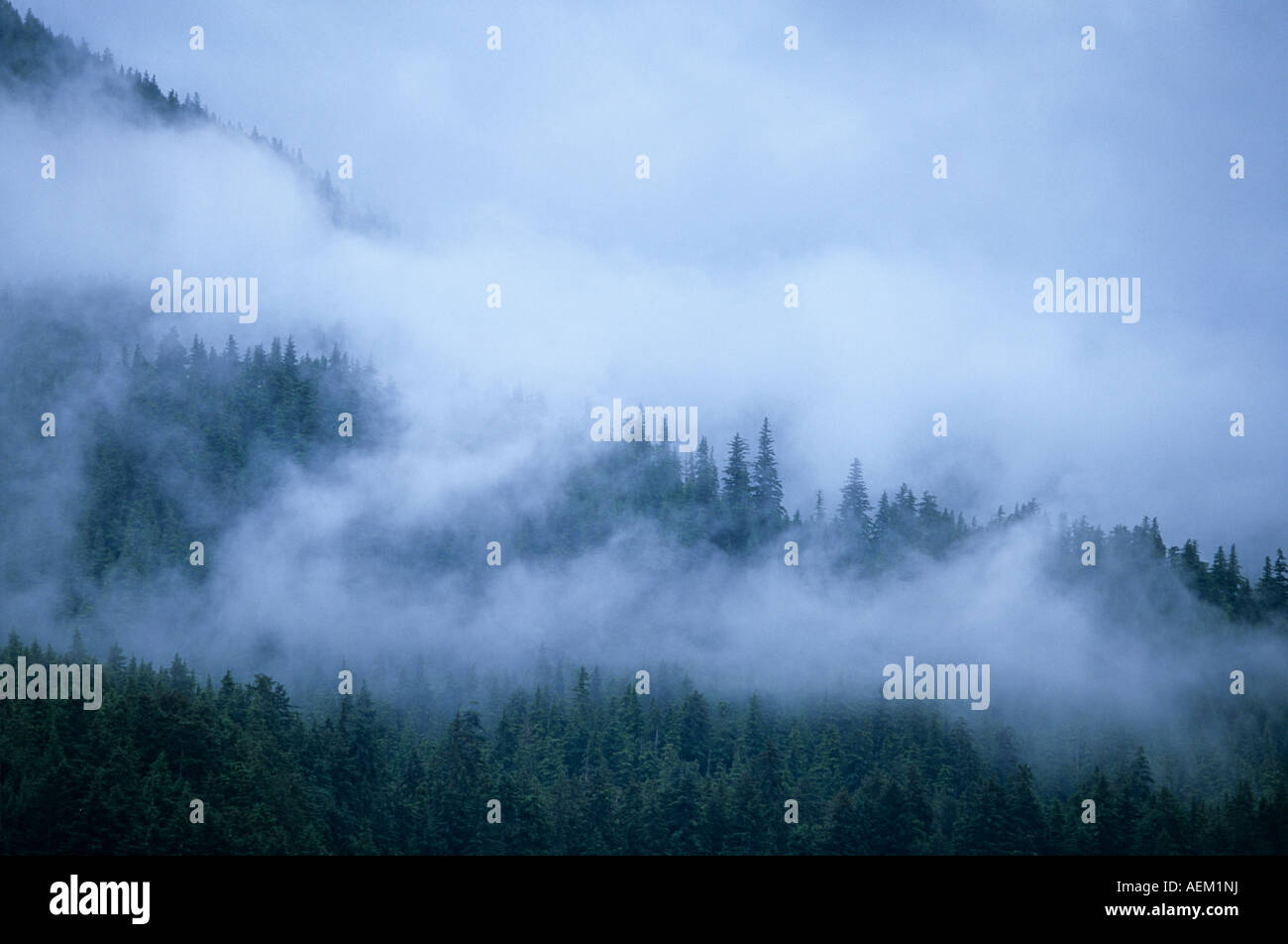 USA Alaska Tongass National Forest Mist gathers above temperate ...