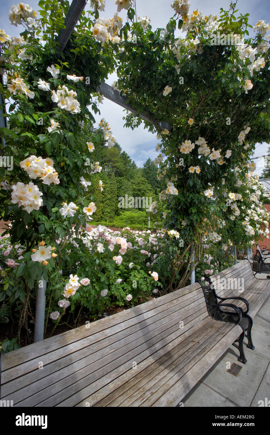 Bench under rose arbor Oregon Rose Test Garden Stock Photo - Alamy