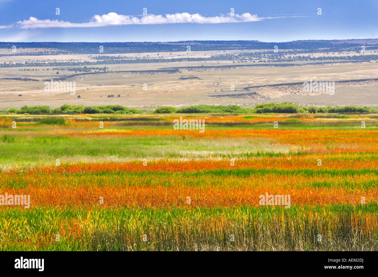 Malheur national wildlife refuge hi-res stock photography and images ...