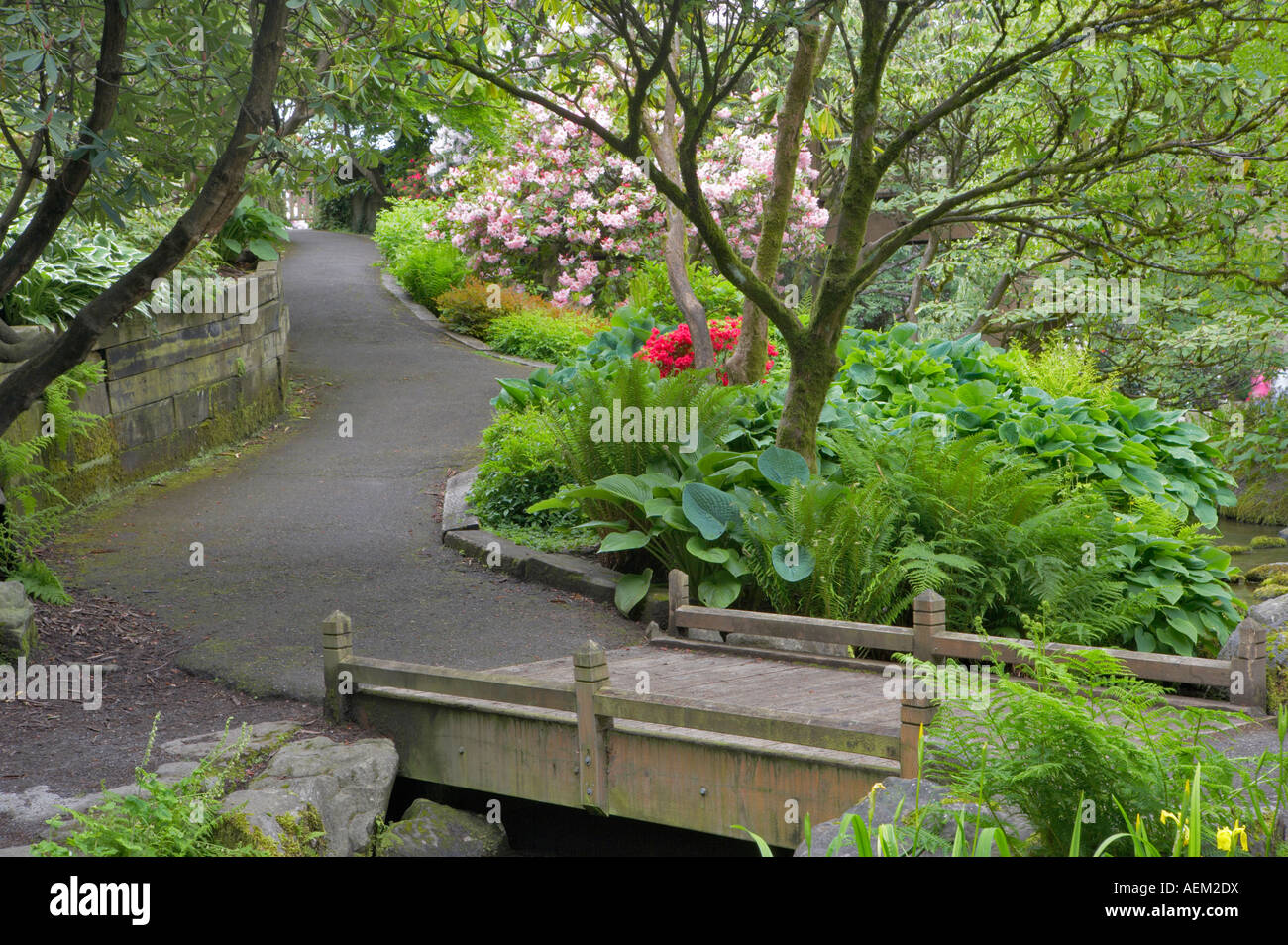 Botanic gardens footbridge hi-res stock photography and images - Alamy
